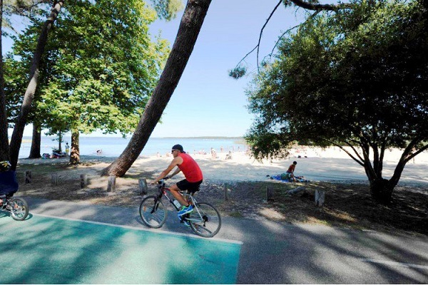 Camping Sanguinet Plage en Sanguinet - Vayacamping - Les Grands Pins
